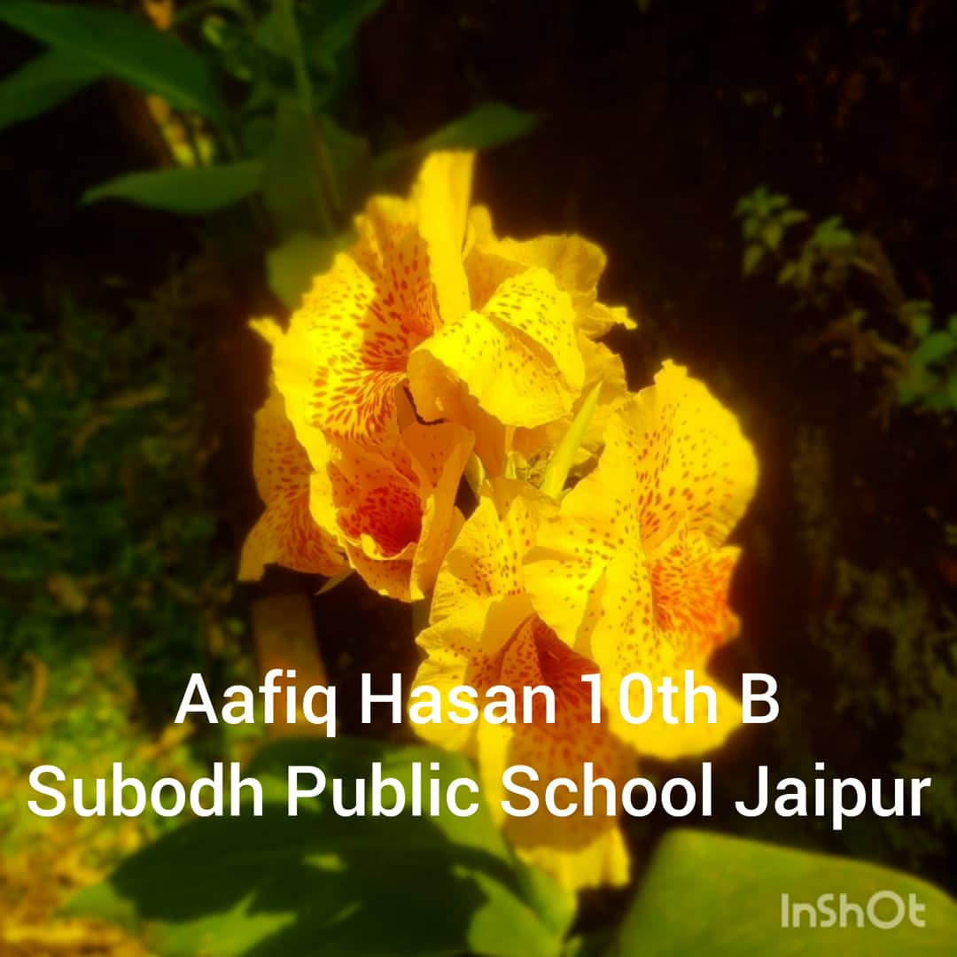 Aafiq Hasan on Vimeo