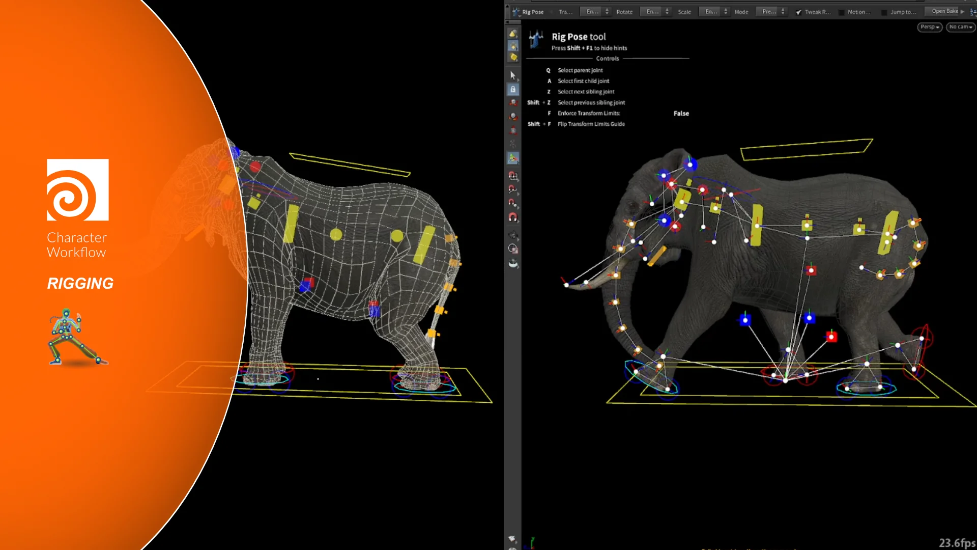 Character Workflow: Rigging