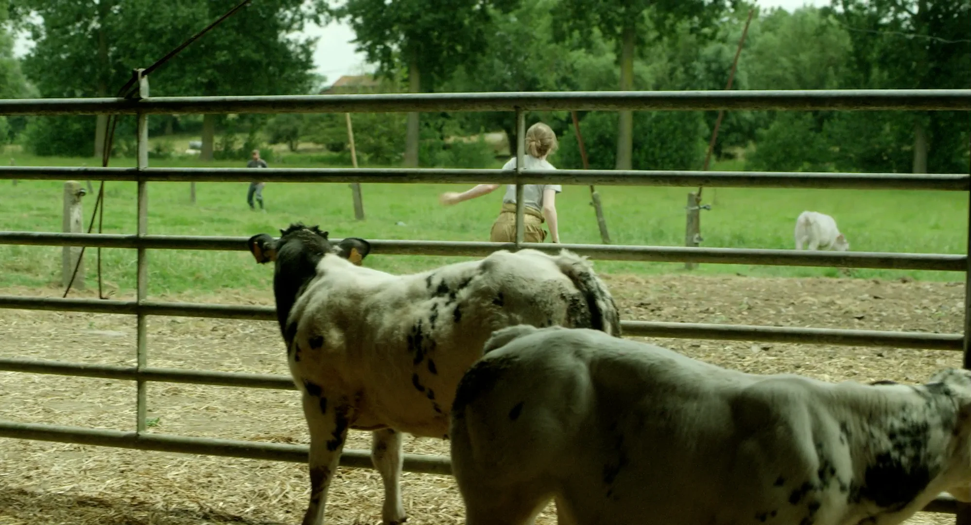 Watch Aube Online | Vimeo On Demand on Vimeo