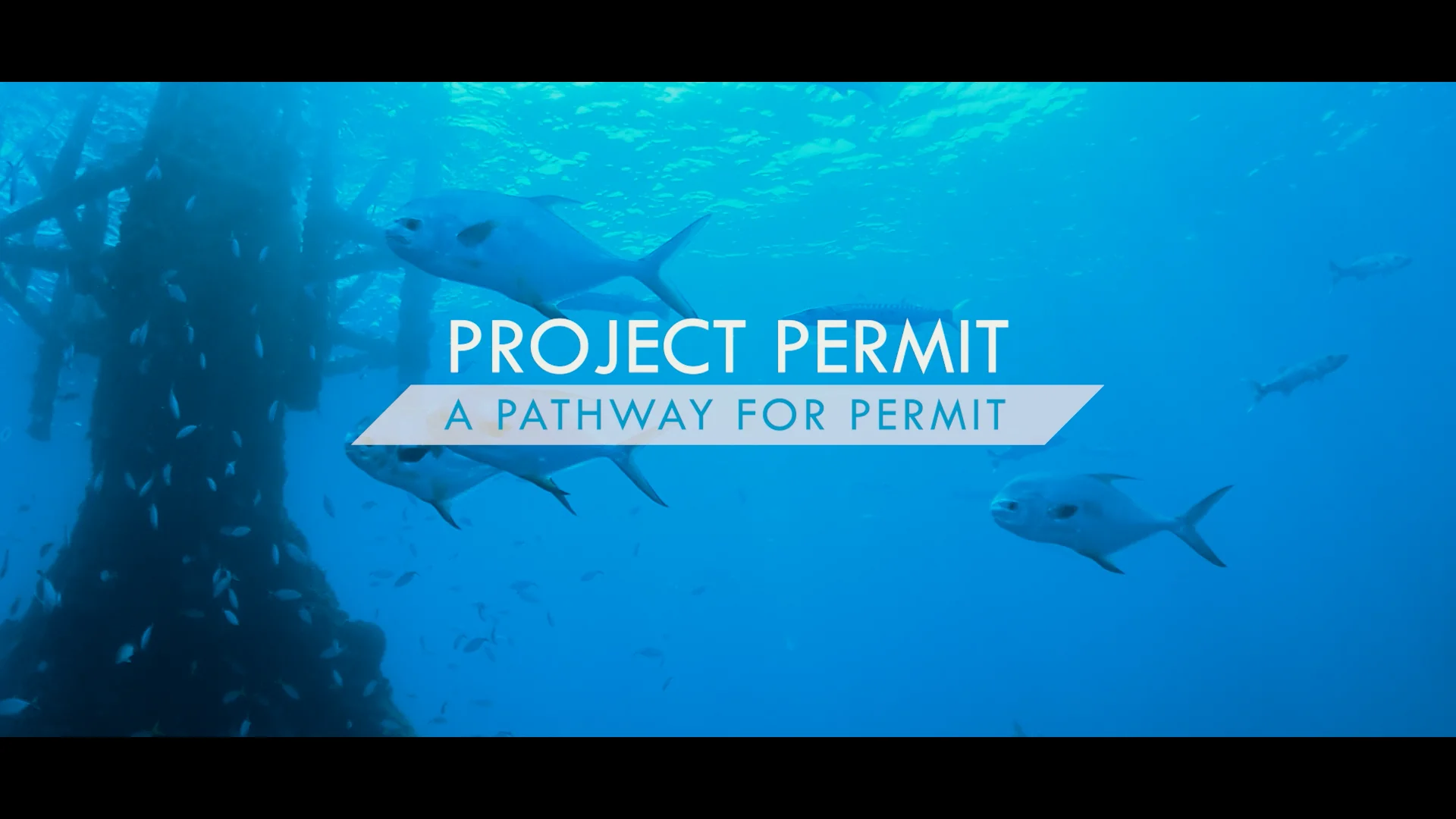 A PATHWAY FOR PERMIT TEASER