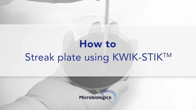 Streak Plate Colonies With Designs
