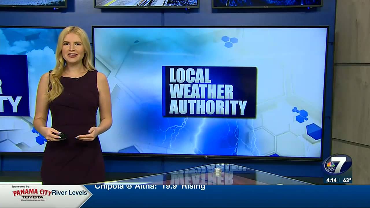 Nikki Sheaks, weather March 24 on Vimeo