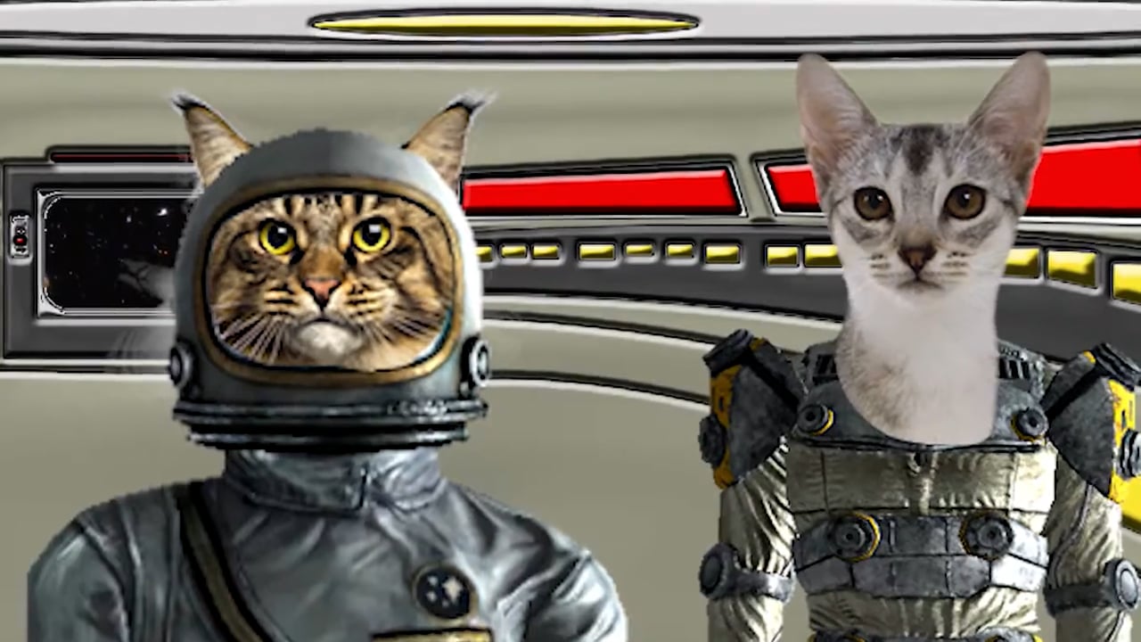 Catstronauts on Vimeo