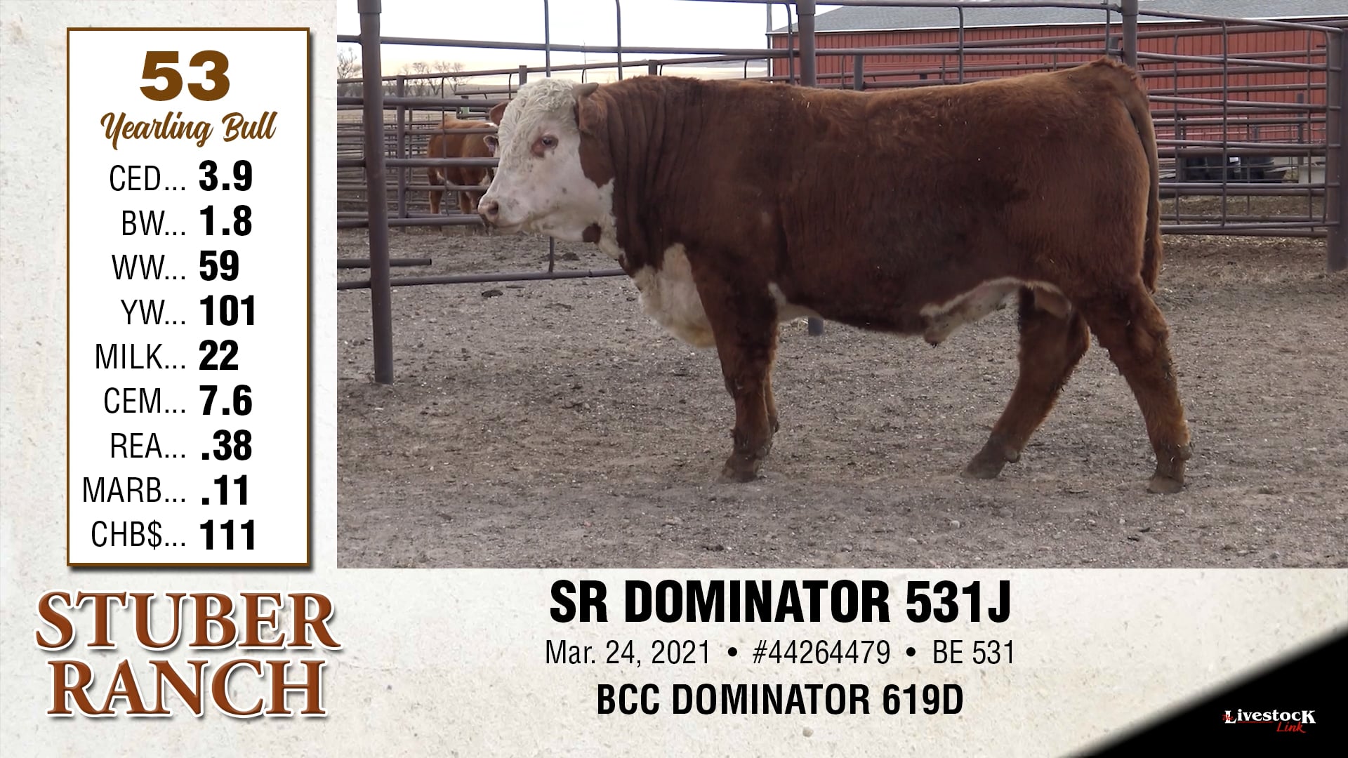 Stuber Ranch - Lot 53 on Vimeo