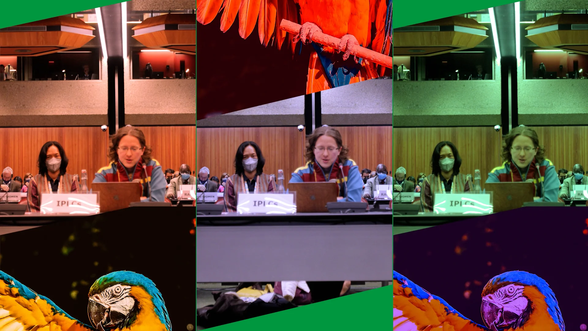 Biodiversity Beat Interview: WWF (Full Interview)