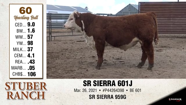 Stuber Ranch - Lot 60 on Vimeo