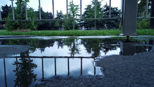 Reflection, Puddle, Rain. Free Stock Video - Pixabay