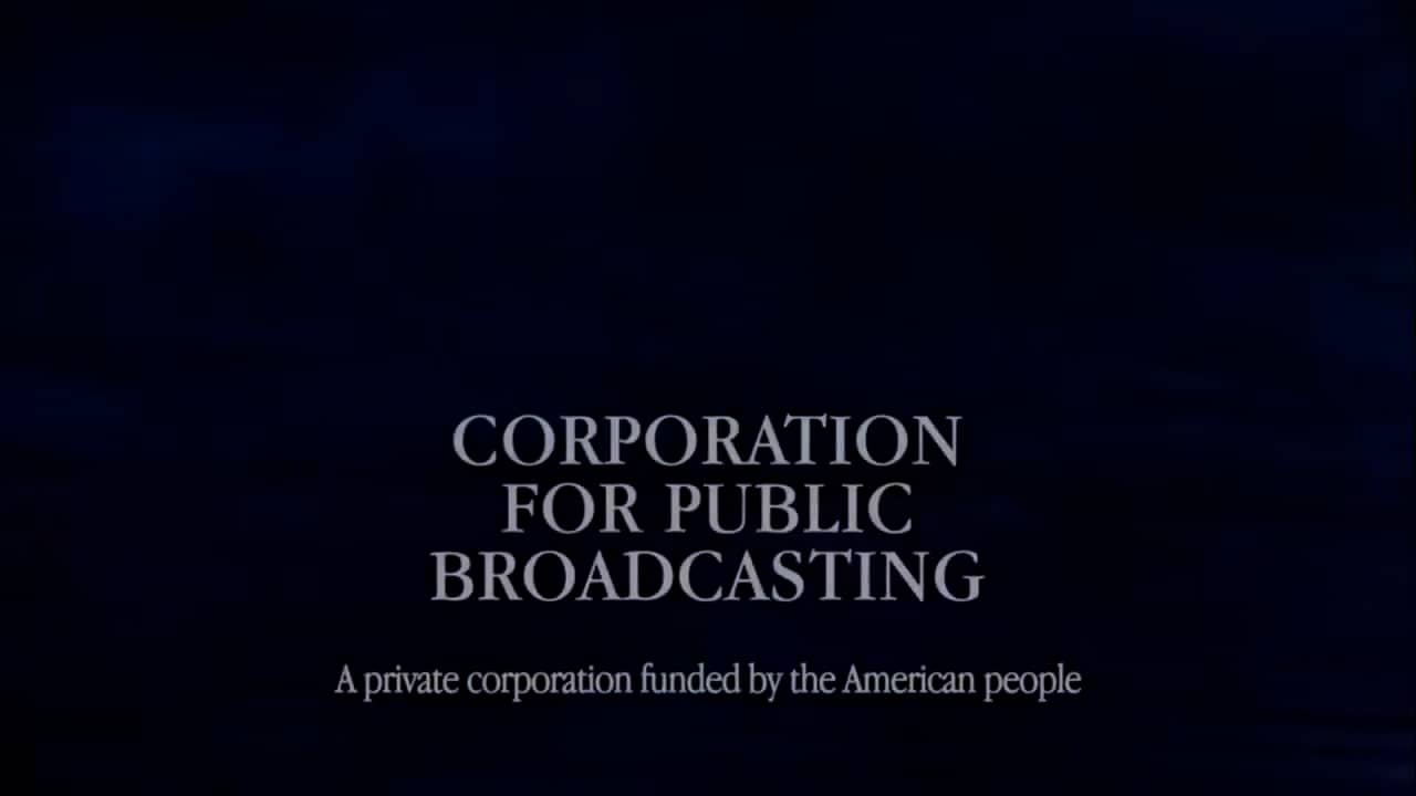 PBS - Corporation for Public Broadcasting-Viewers Like You 1990s on Vimeo