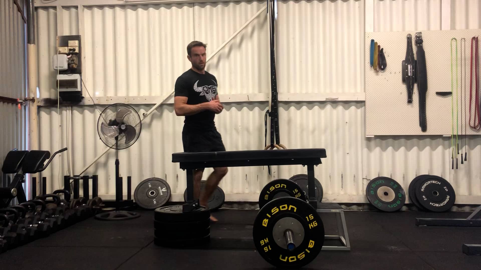 Barbell Seal Row on Vimeo