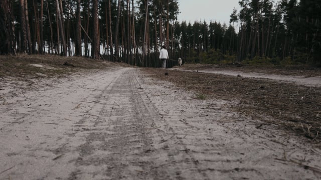 Woman Walking Videos: Download 100+ Free 4K & HD Stock Footage Clips ...