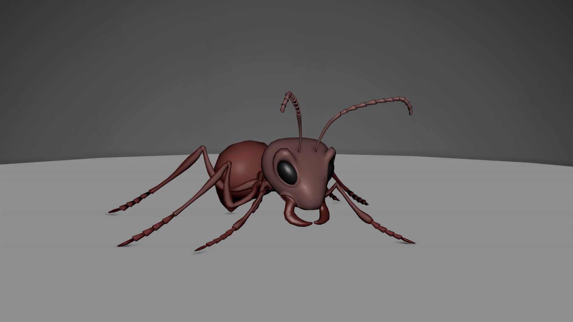 Ant walk cycle on Vimeo