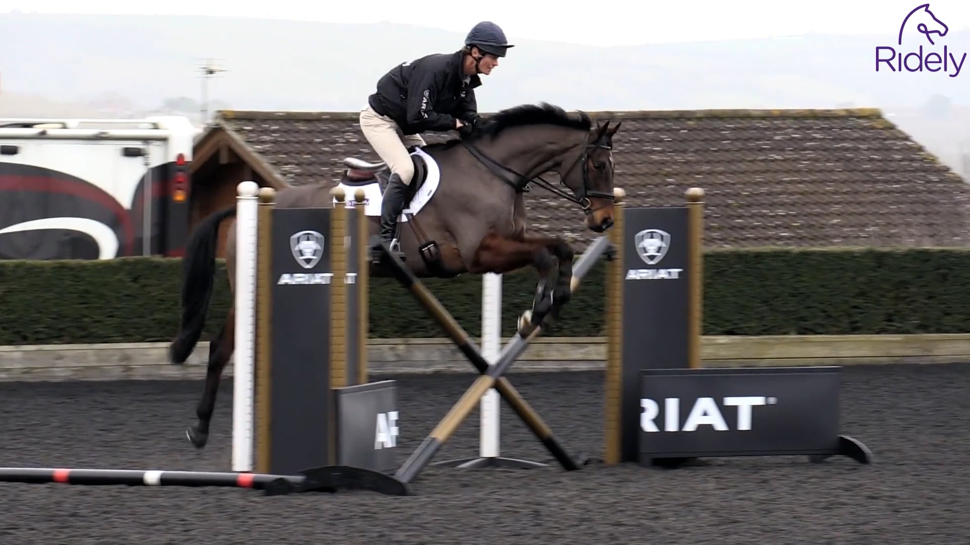 Introducing Show Jumps before the Season | Ridely