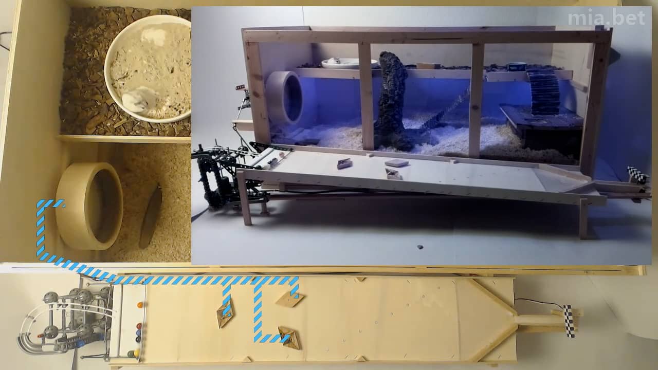 Mia Marble Race #23 on Vimeo