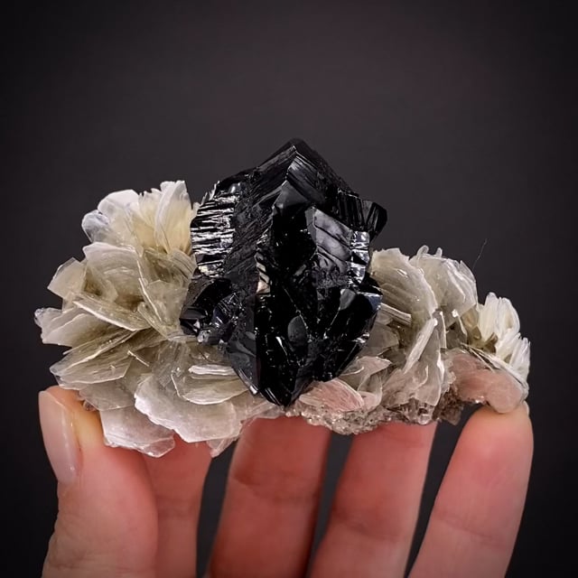 Cassiterite with Muscovite - CH22-01 - Mt Xuebaoding - China Mineral ...