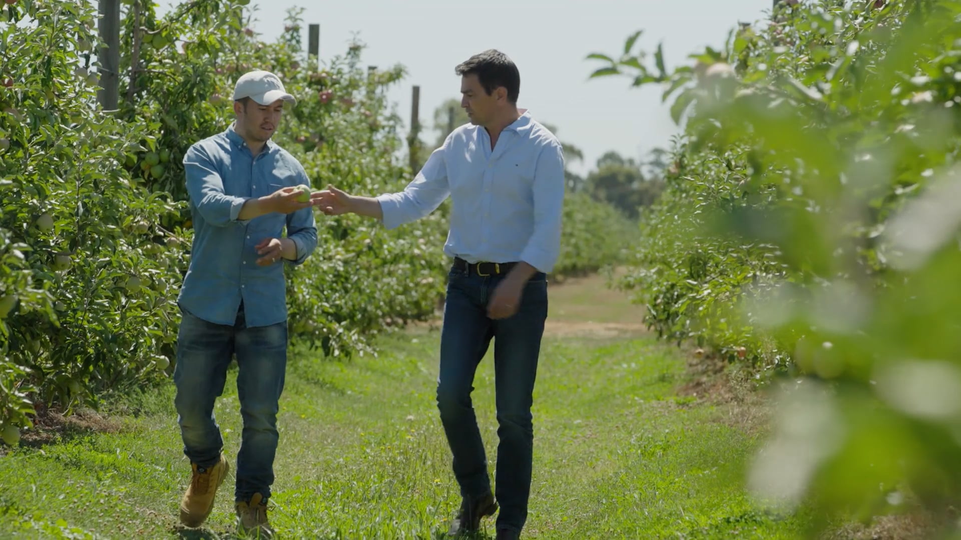 Rob Priestly Ad 3.mp4 on Vimeo