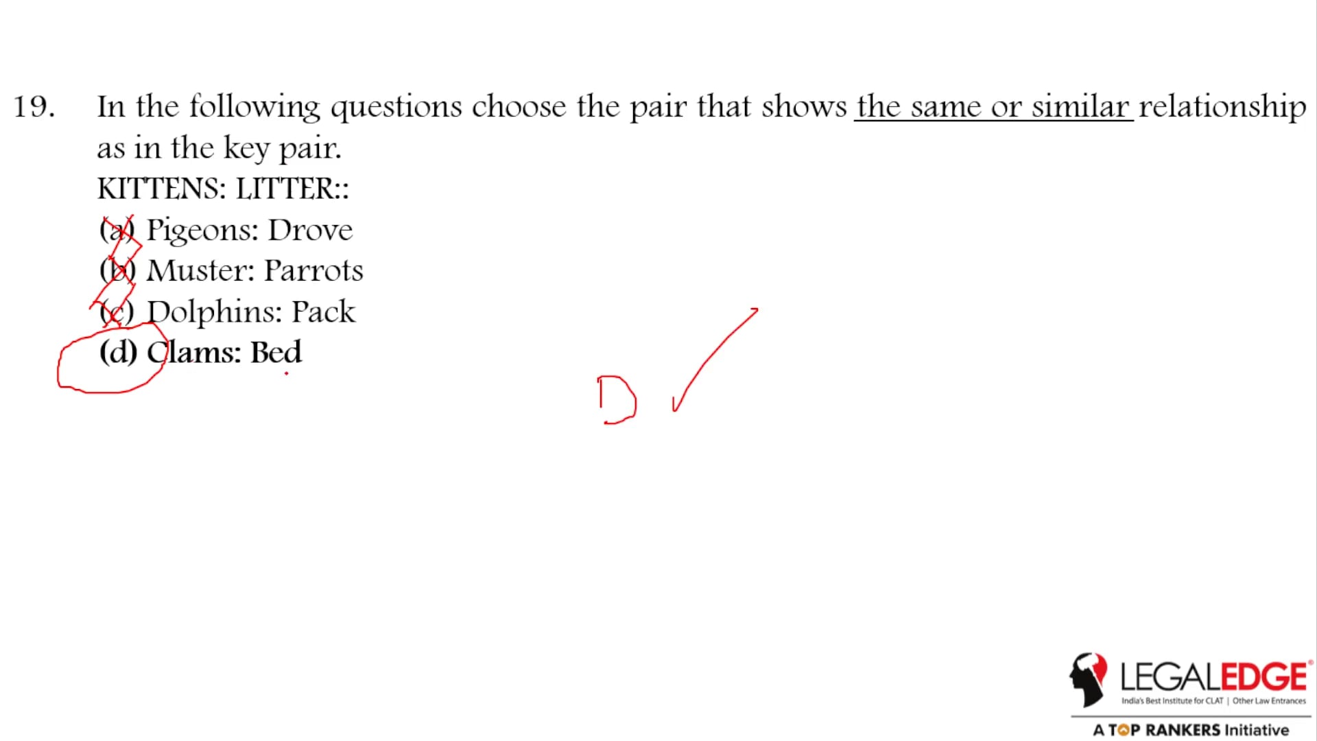 CULEE Mock 01 CR Q19.mp4 on Vimeo