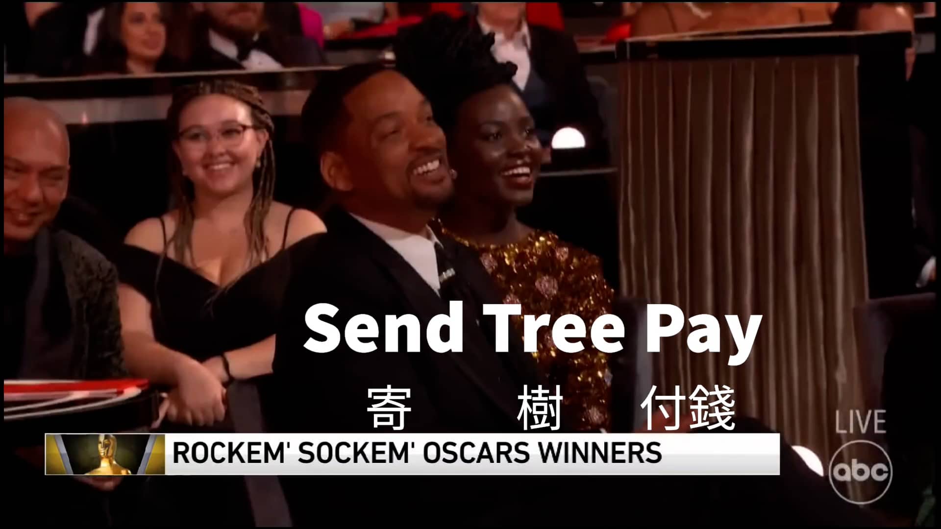 每日一句 send tree pay on Vimeo