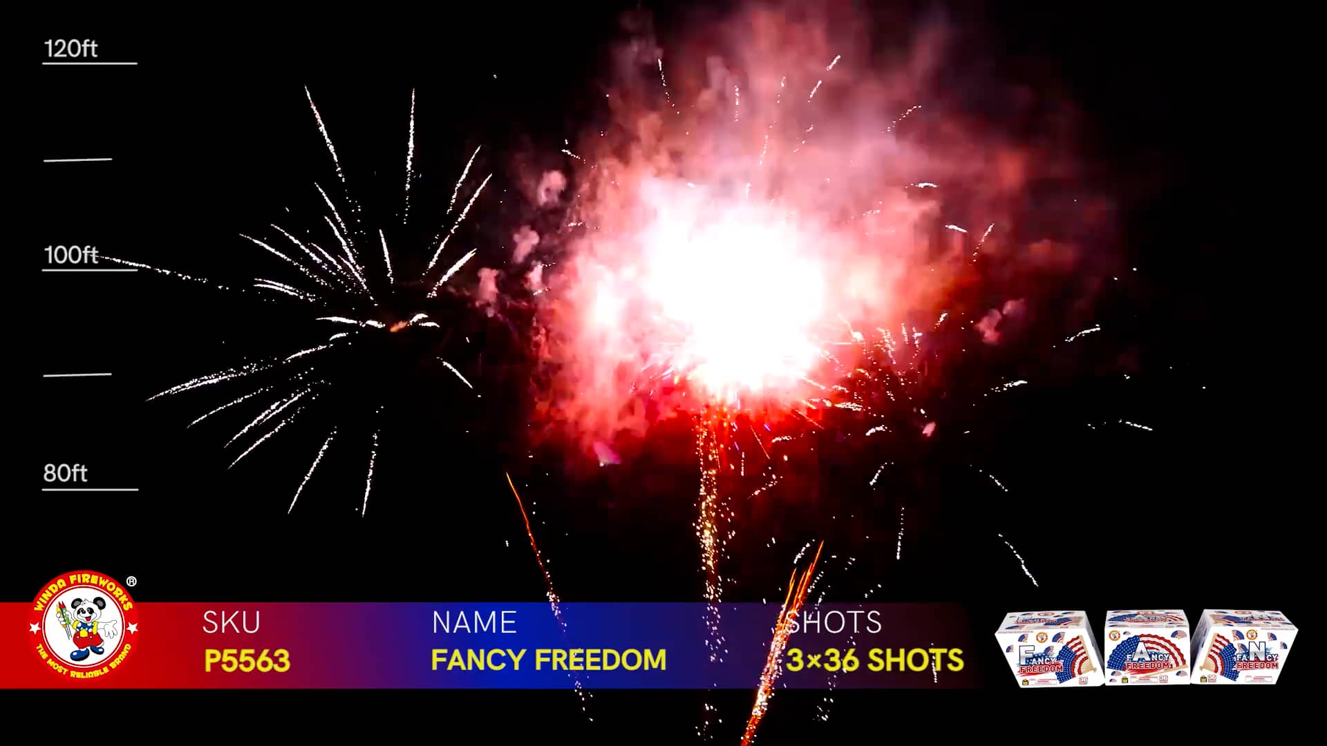 FANCY FREEDOM on Vimeo