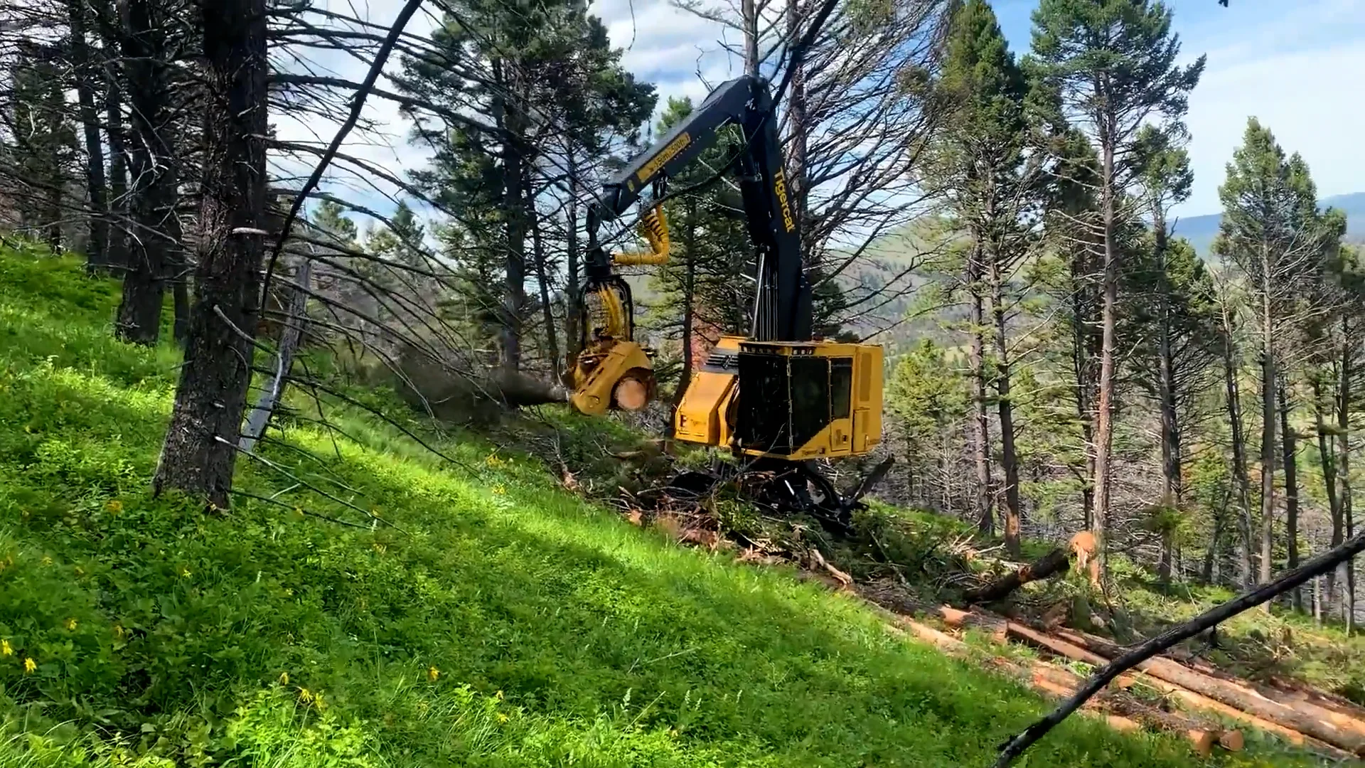 LH822E Track Harvester | Tree Processor | Forest Harvester LH822E Track Harvester | Tree Processor | Forest Harvester
