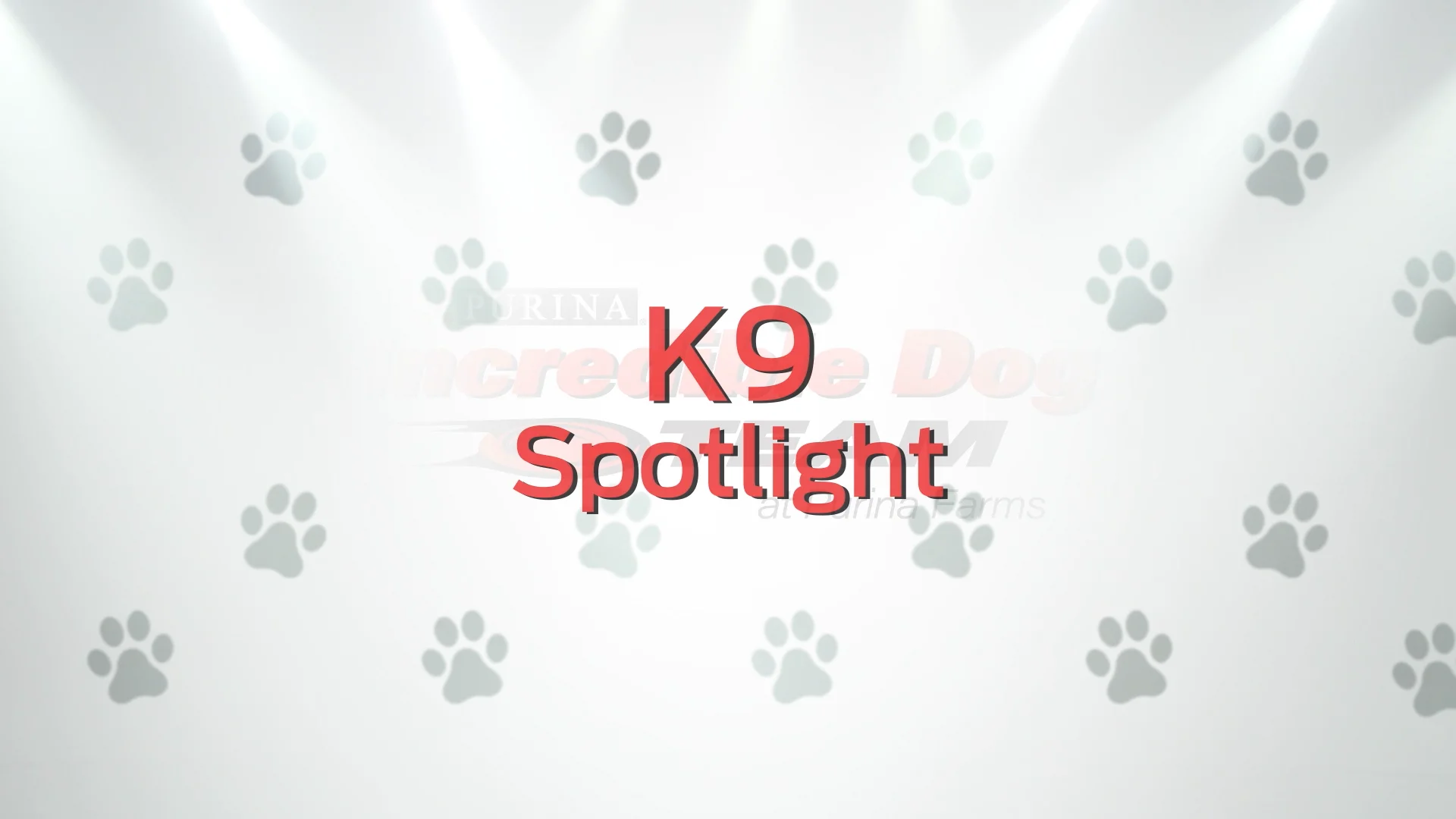 Meet Our Dogs - Meet Notti v1.mp4 on Vimeo