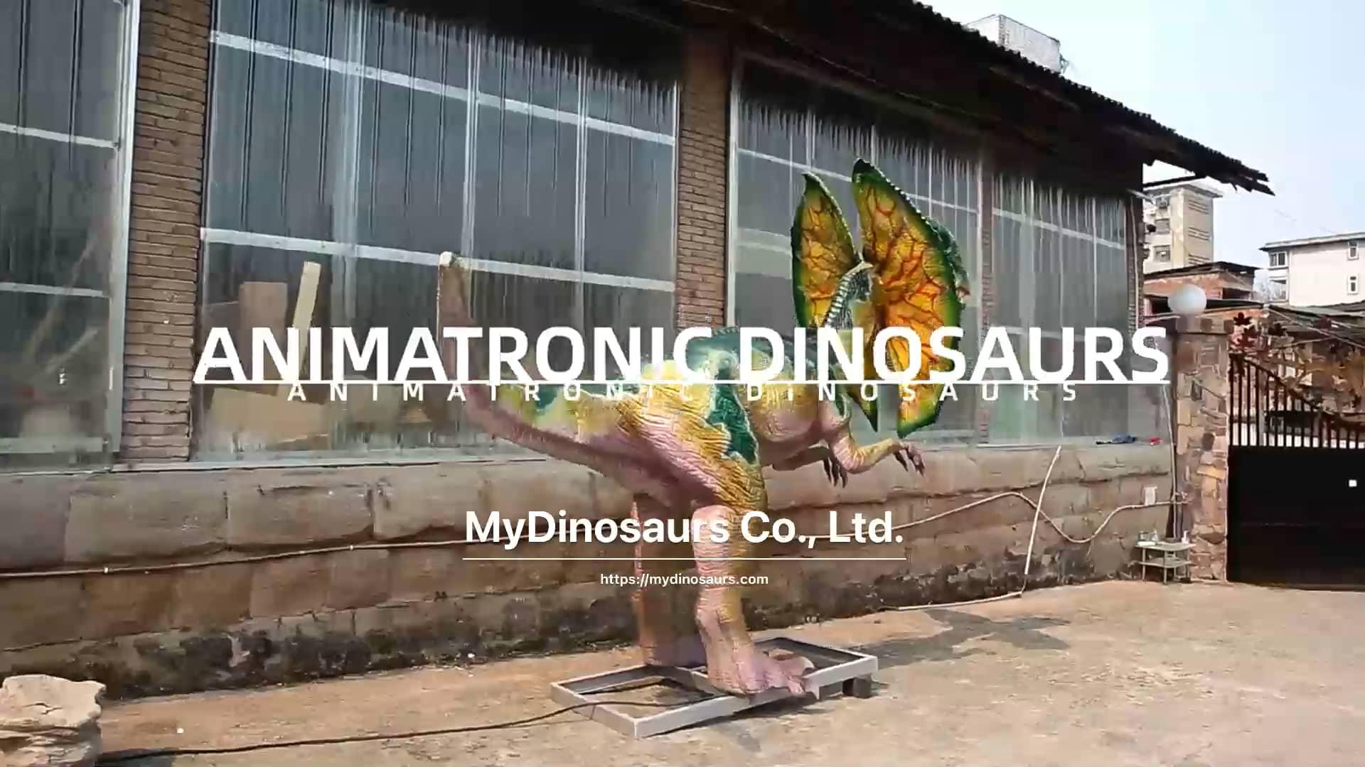 Animatronic Dinosaurs Jurassic Spitting Dilophosaurus / Dinosaurio ...