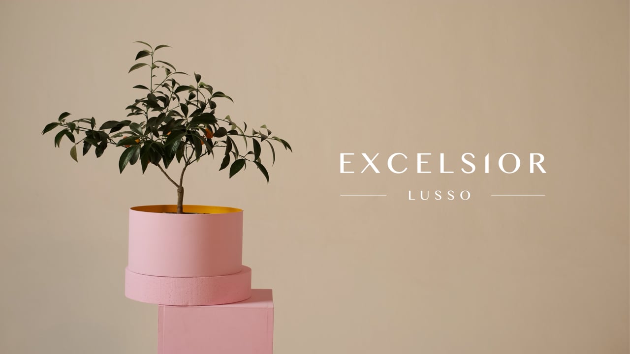 VIDEOS - Adam Heyns's Portfolio
