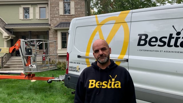 Exterminateur de chauves-souris - #1 Bestia Extermination