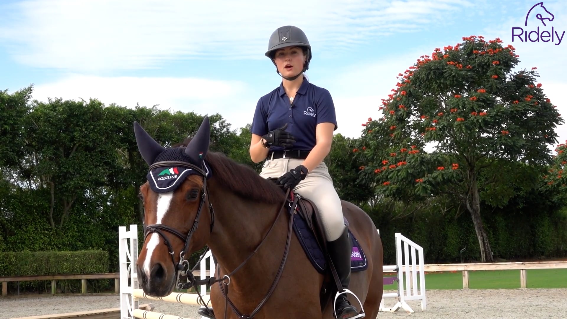 Getting Back into the Tack Quickly | Ridely