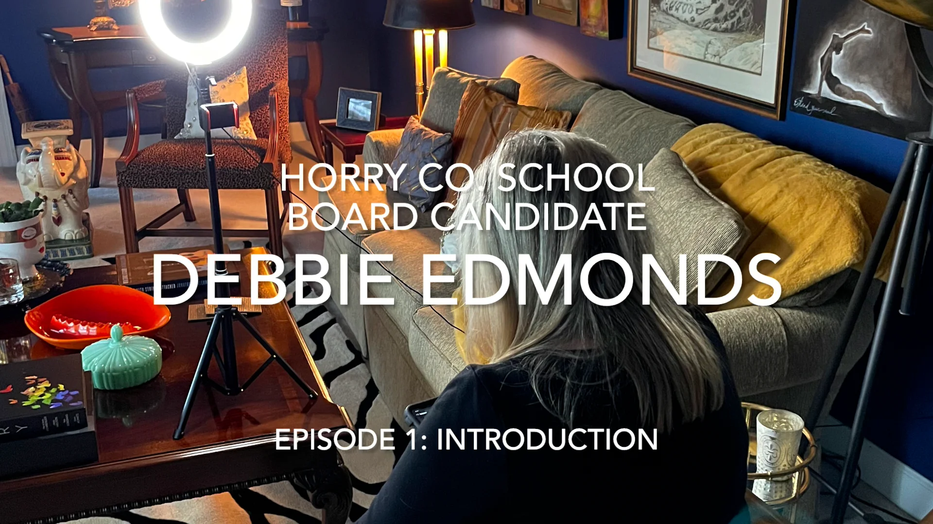 Episode 1: Debbie Edmonds, Horry Co. School Board District 2 Candidate ...