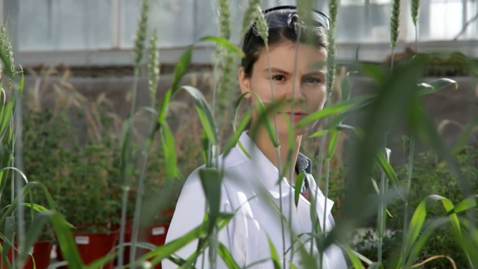 GIZ Turkey PEP Programme: Scaling Impact Together on Vimeo