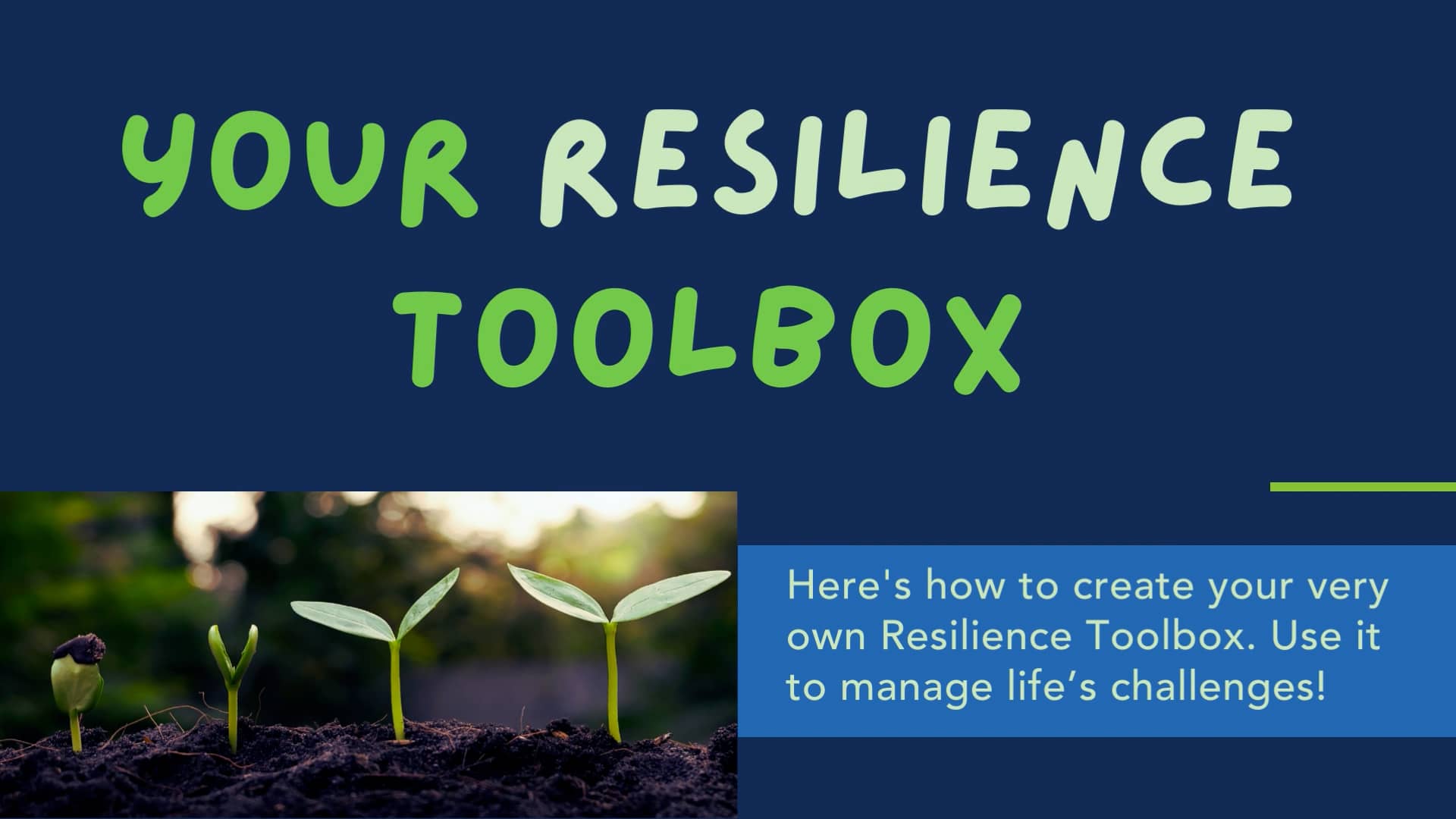 Resilience Toolbox_STARS on Vimeo