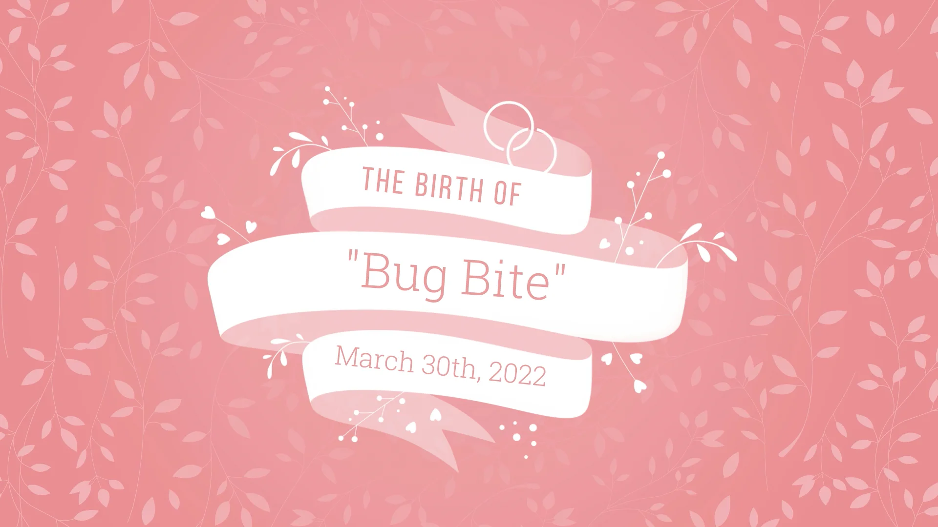 Bug Bite's Birth on Vimeo