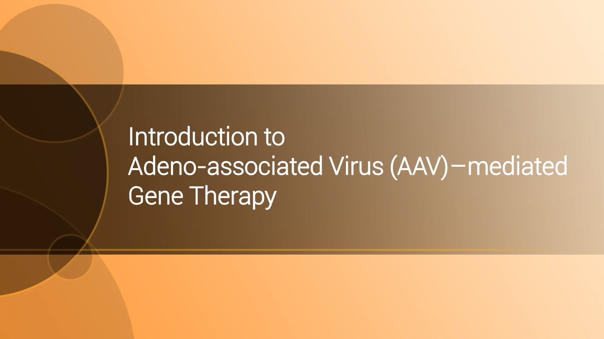 AAV Gene Therapy Animation Video (Shorter Version) For Medical Booth ...