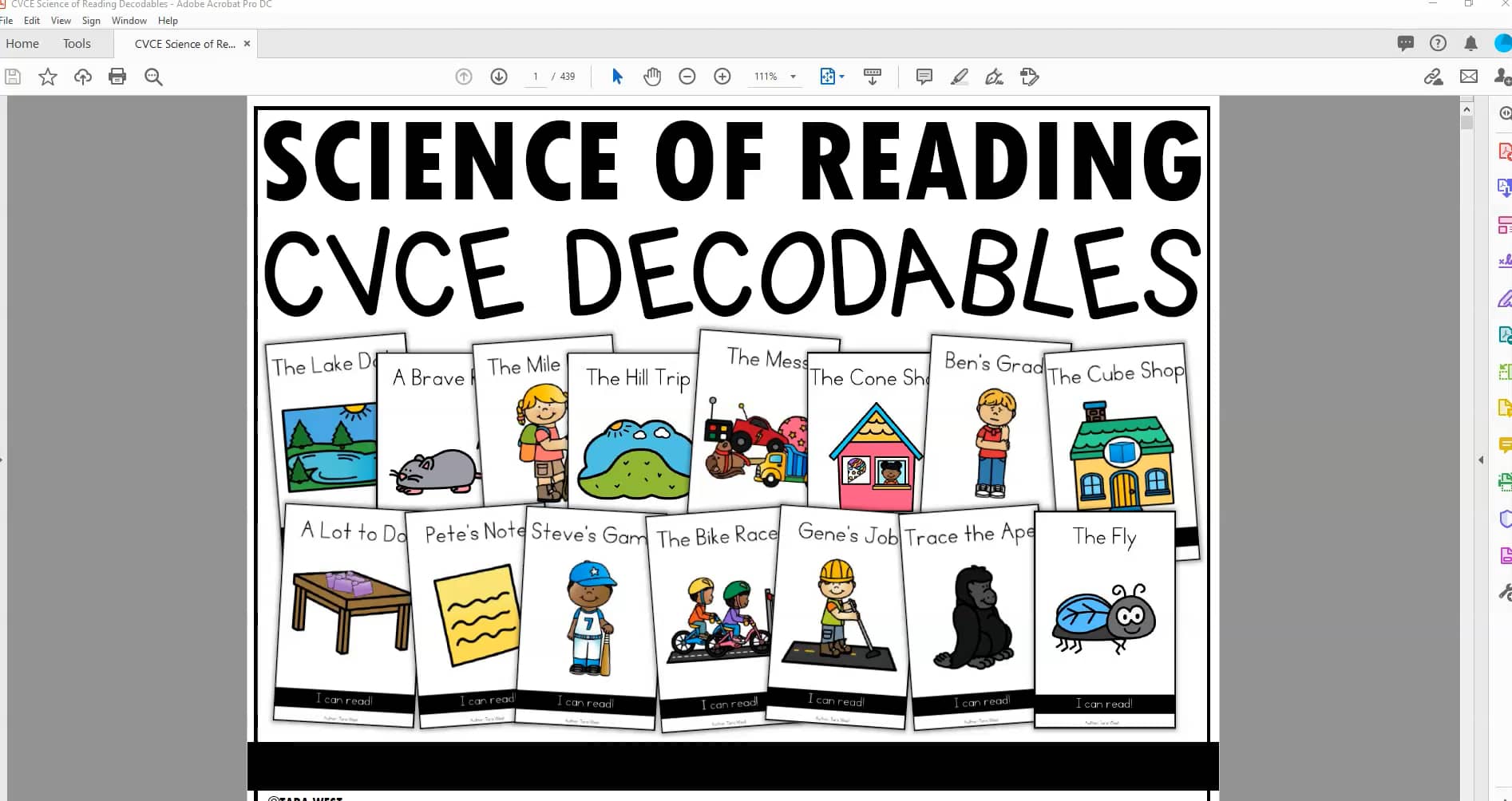 Science of Reading CVCE Decodables - Tara West on Vimeo