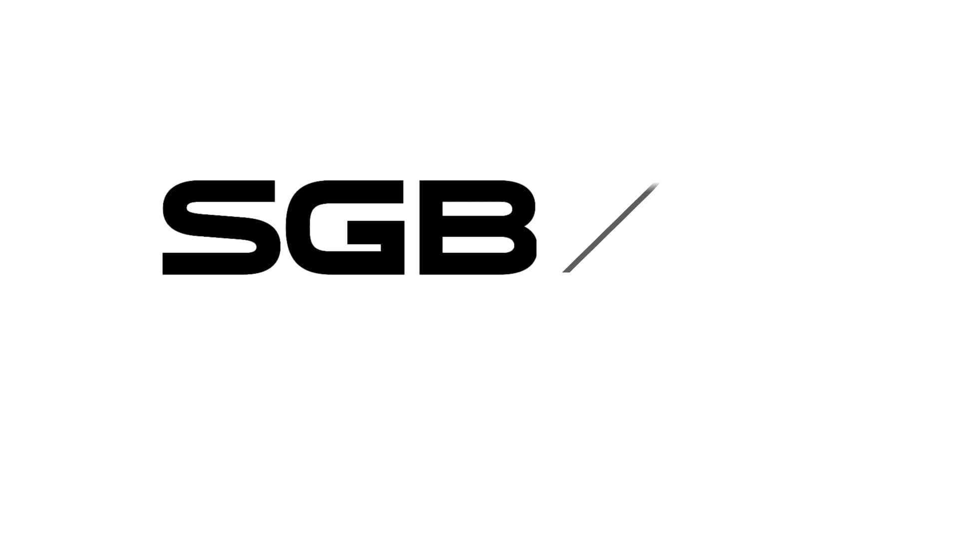 SGB Group Logo Animation White Background on Vimeo