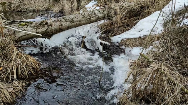 Stream Water Flow Of - Free video on Pixabay