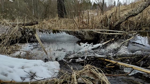 Stream Water Flow Of Water Free Stock Video - Pixabay