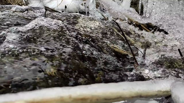 Stream, Water, Flow Of Water. Free Stock Video - Pixabay