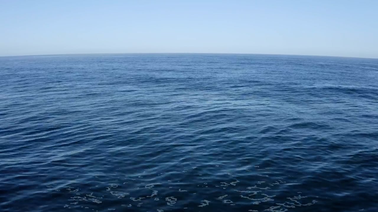 The Trusted Wrenn - Life Coaching Services, Inner Truth