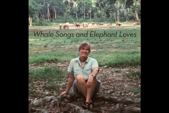 Katy Payne on Whale Songs and Elephant Loves