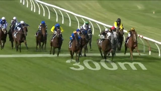 I Am Invincible - Stallion | Breednet