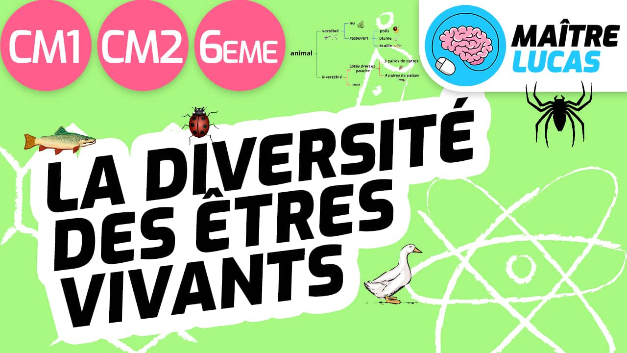 Diversité des êtres vivants - classer les êtres vivants CM1 - CM2 ...