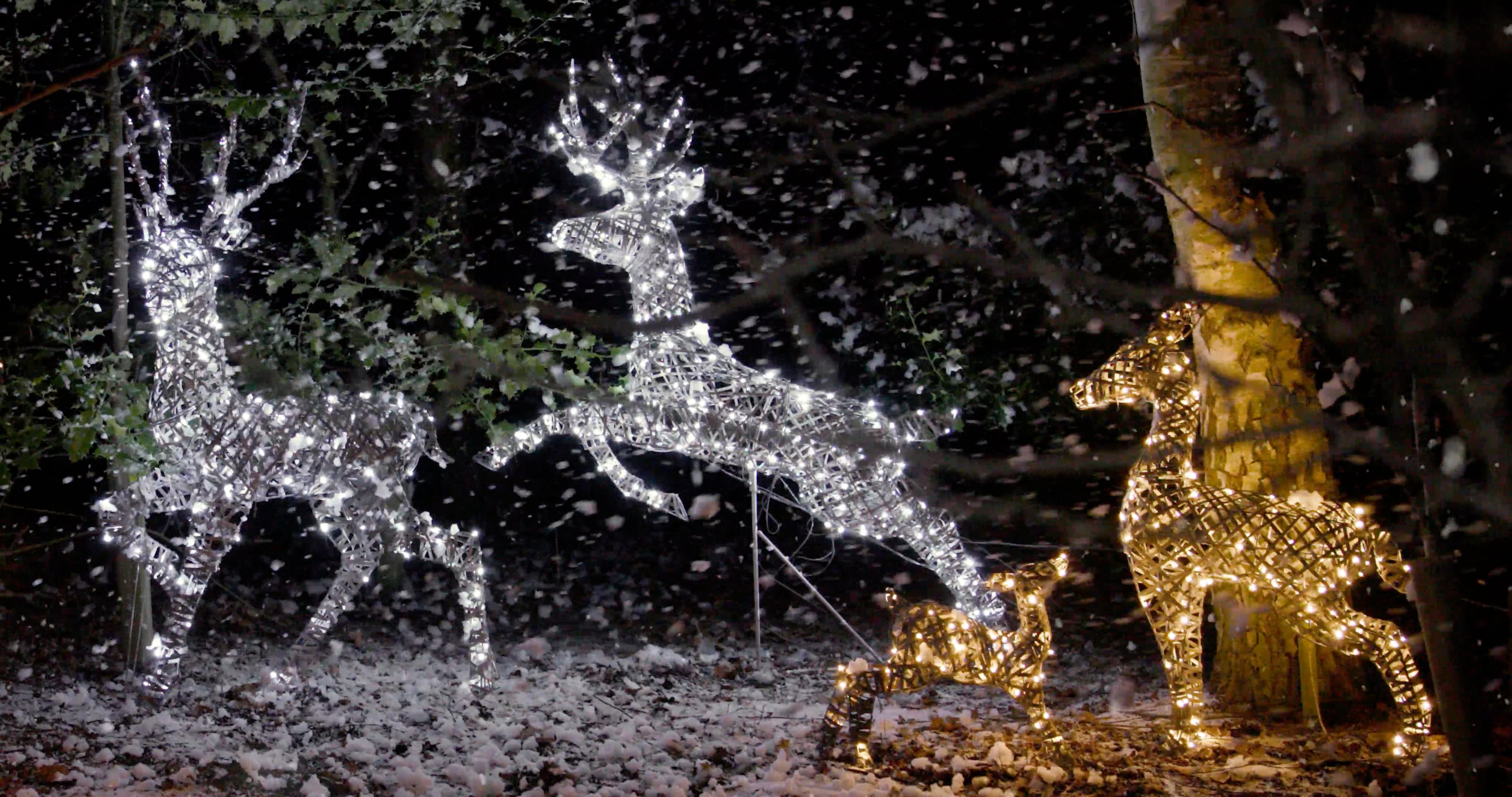 NOMA Grey Rattan on Vimeo