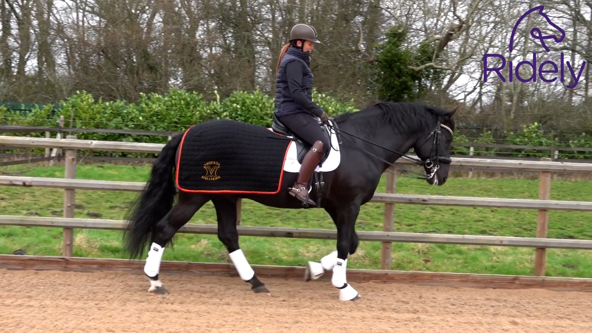 Warming Up for Pole Work | Ridely