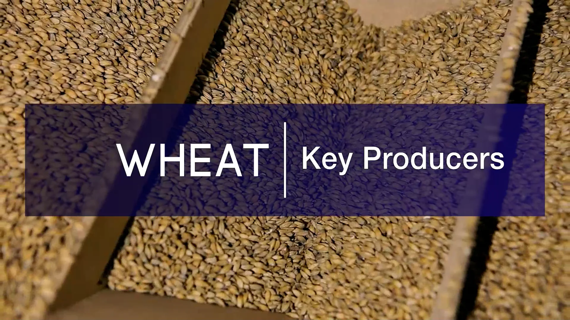 Wheat - New Series Introduction on Vimeo