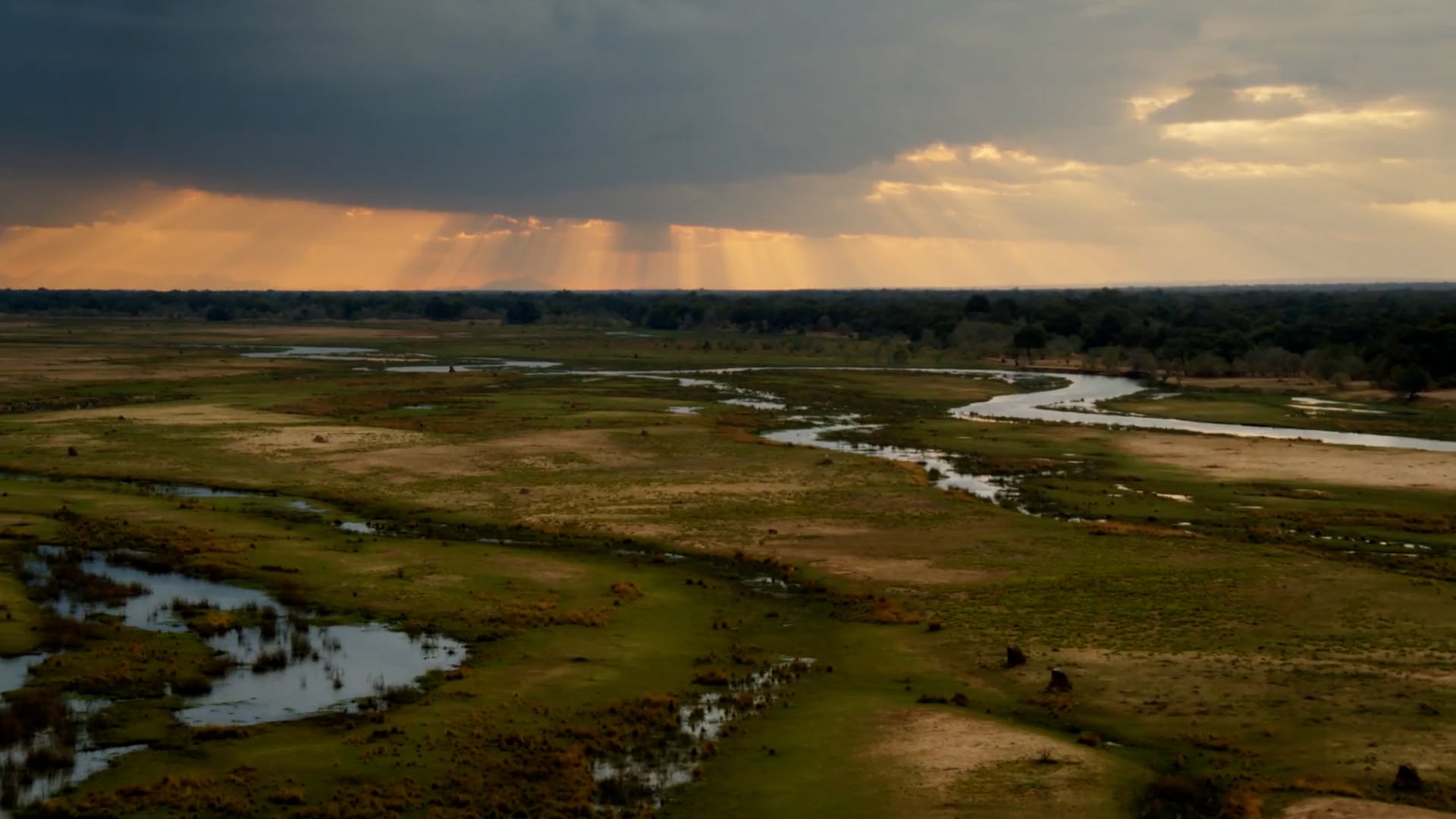 Predators official trailer Netflix on Vimeo