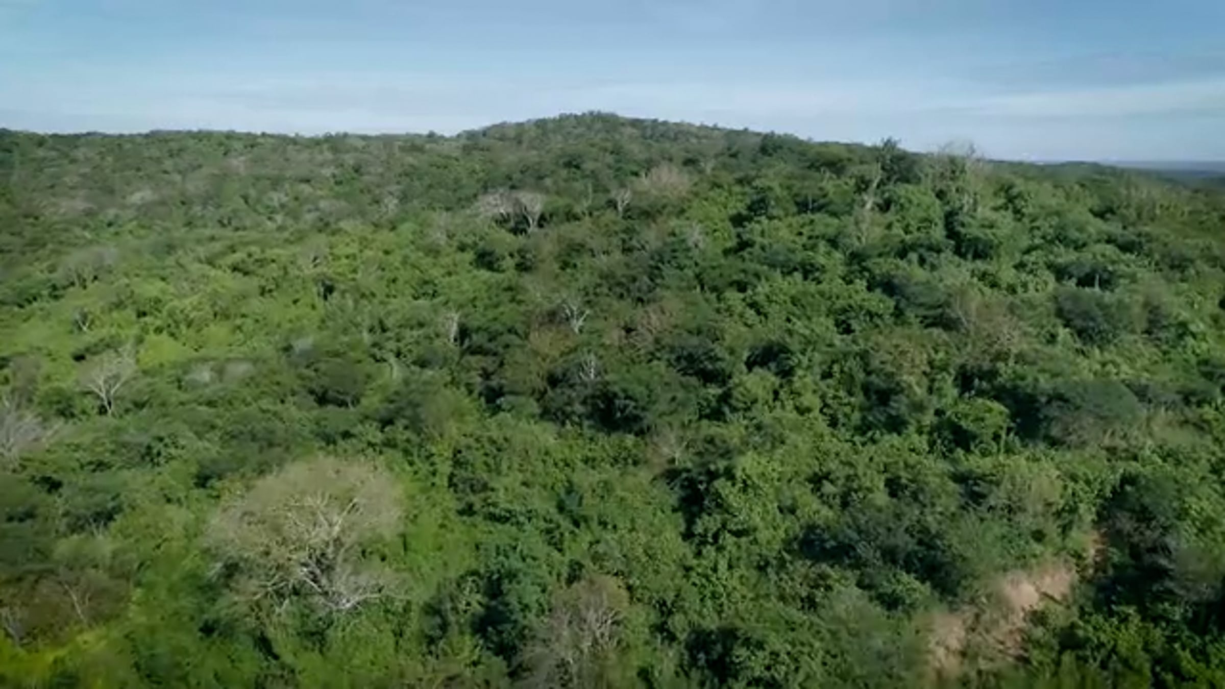 Programa Socio Bosque