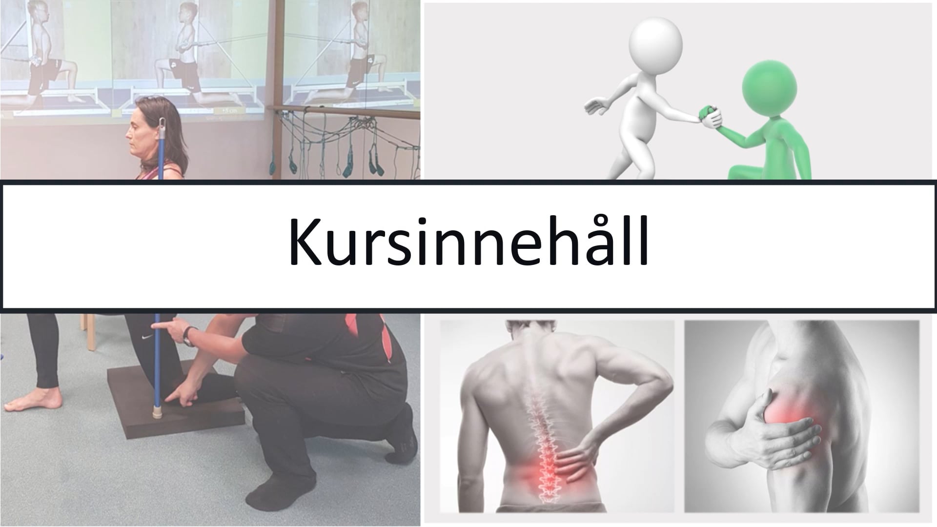 Kursinnehåll Integreringsmodul on Vimeo