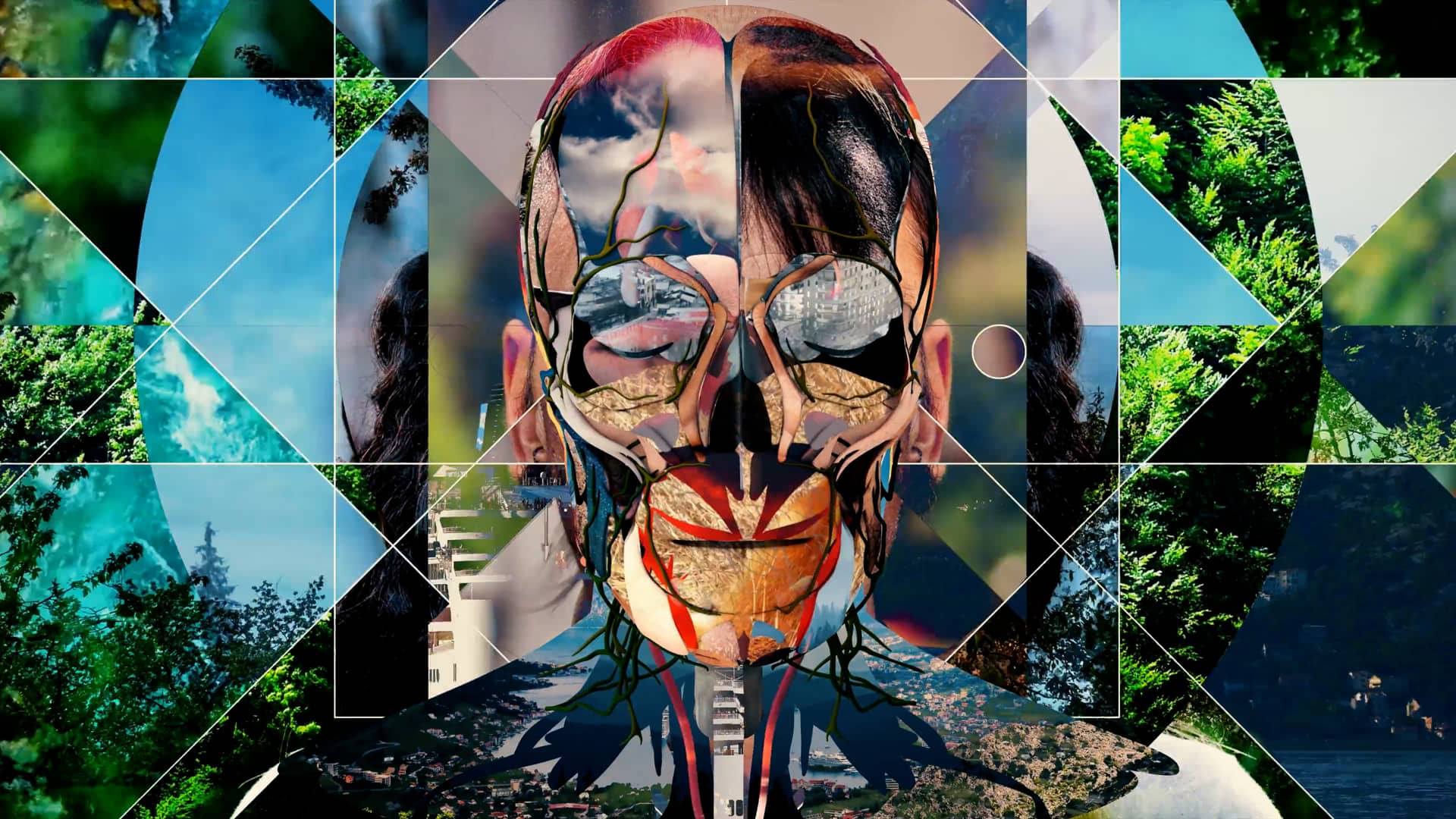 Max Cooper - Everything (Official Video by Nick Cobby) on Vimeo