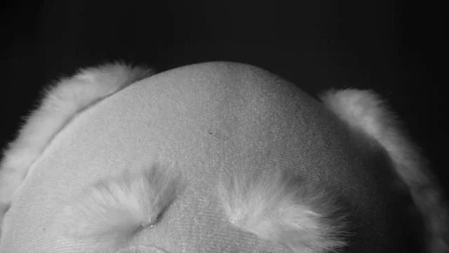 The Fuzz Bunch is coming on Vimeo